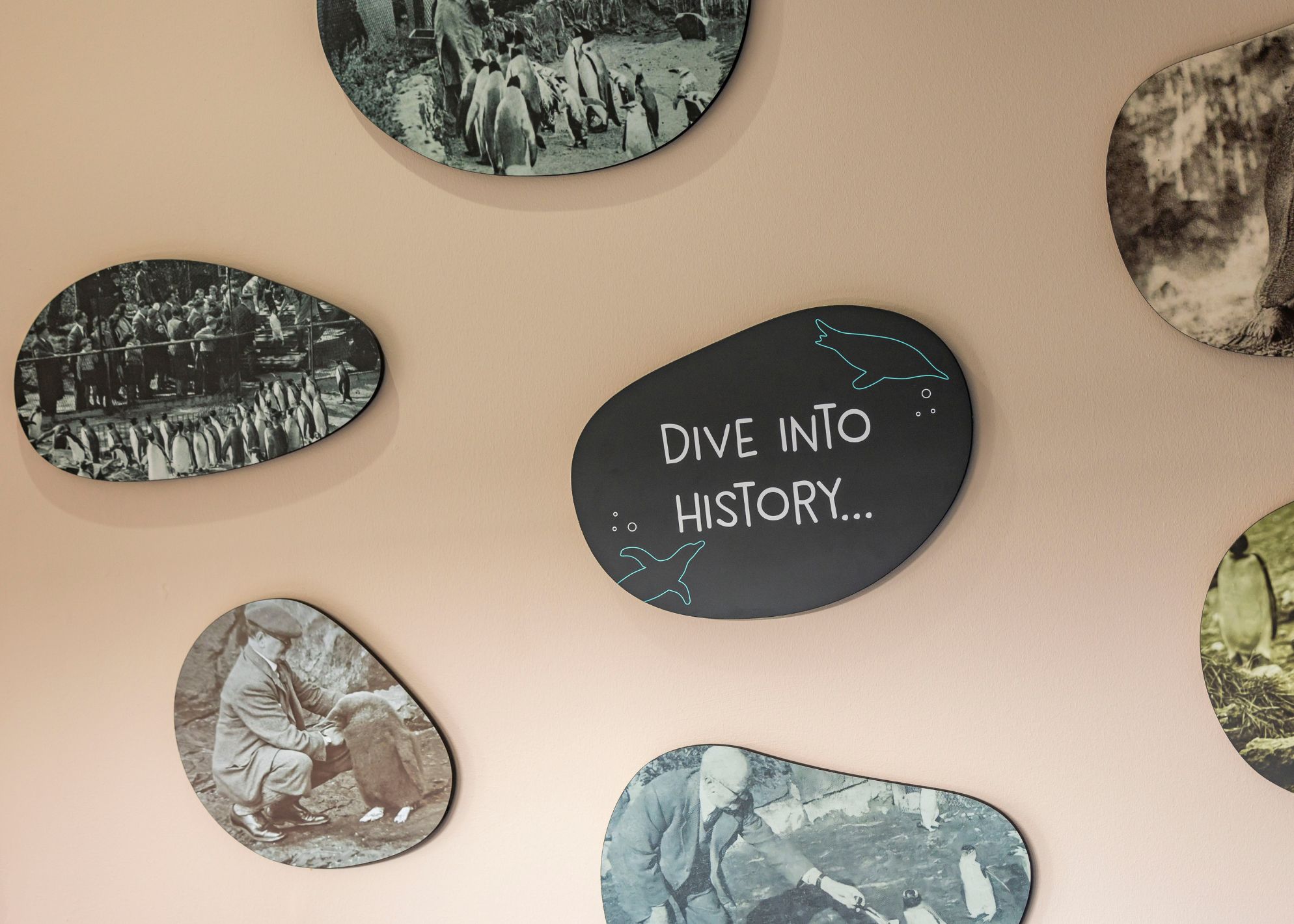 Penguins Café: Edinburgh Zoo - Space Solutions