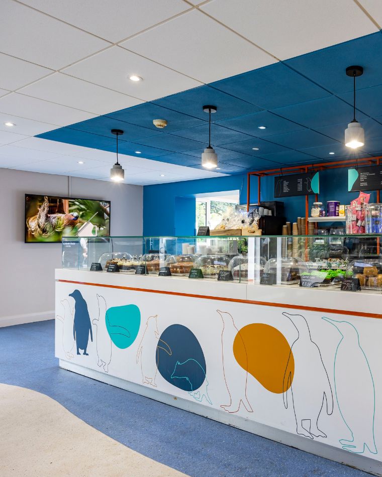 Edinburgh Zoo: Mansion Bar - Space Solutions