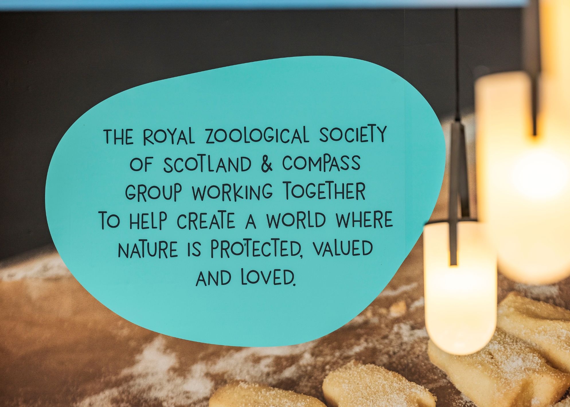 Penguins Café: Edinburgh Zoo - Space Solutions